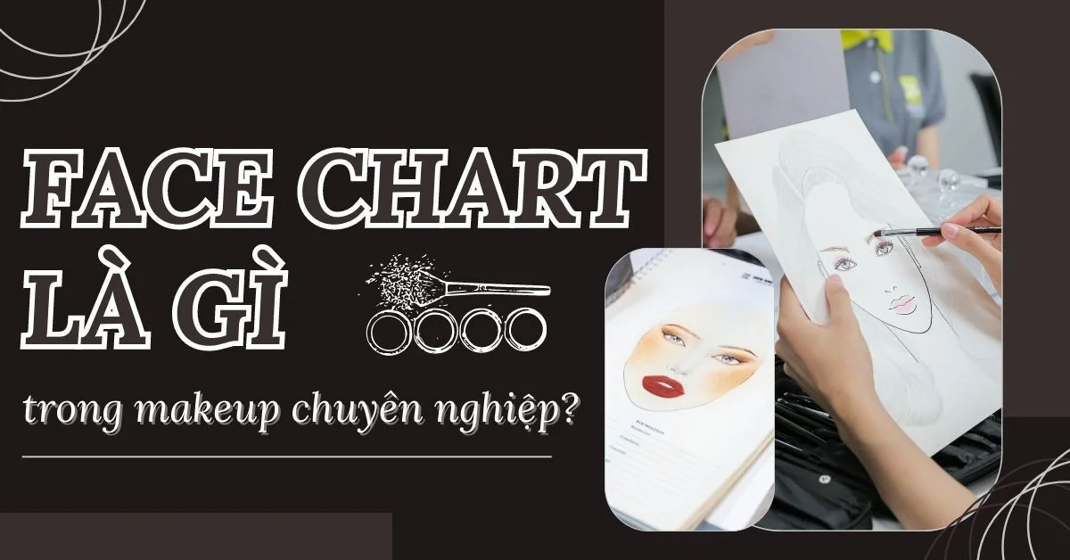 Face Chart Là Gì? Ứng Dụng Face Chart Trong Trang Điểm?